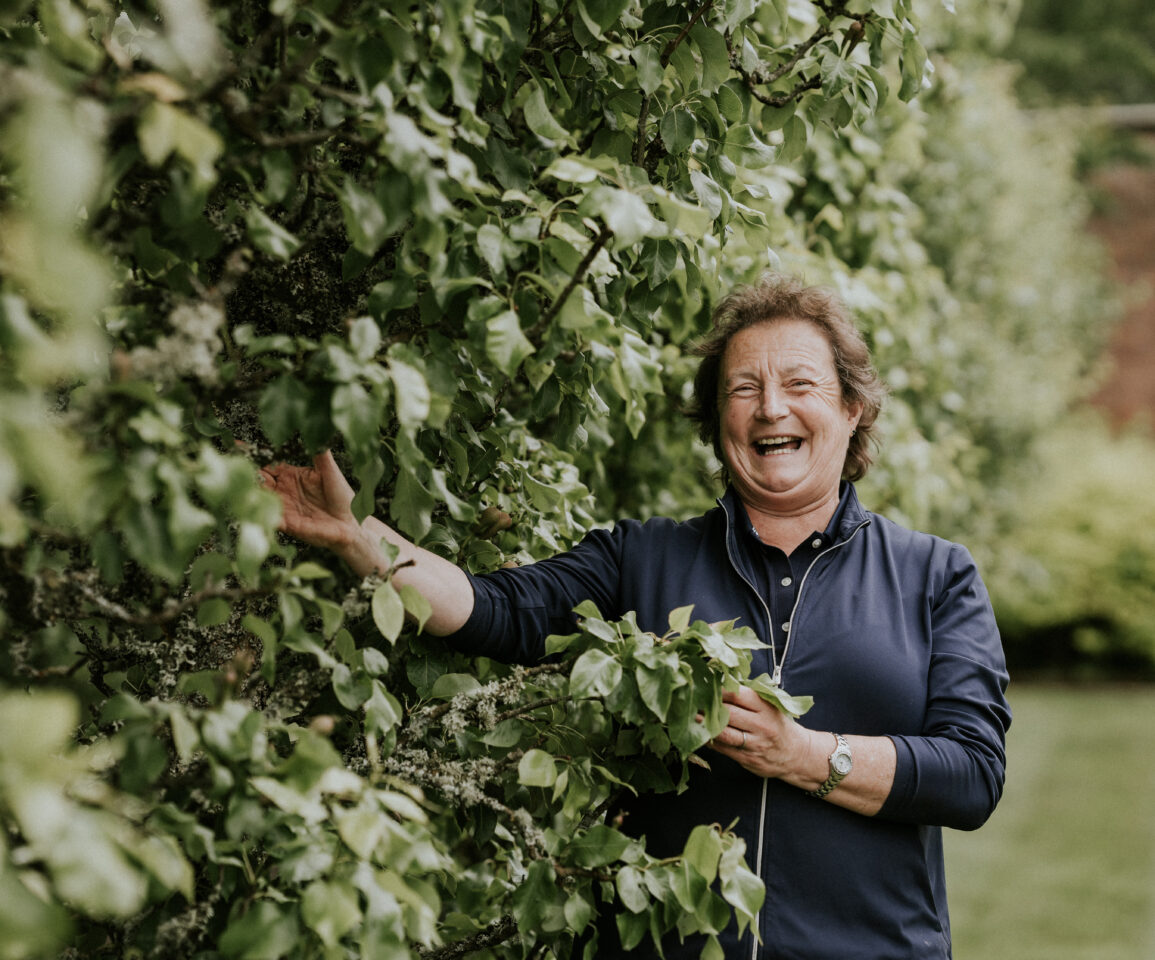 Dromoland Castle | 5 Star Castle Hotels Ireland | Official Site