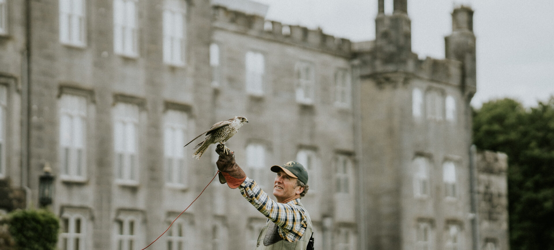 Falconry & Hawk Walksin Ireland | Falconry School at Dromoland