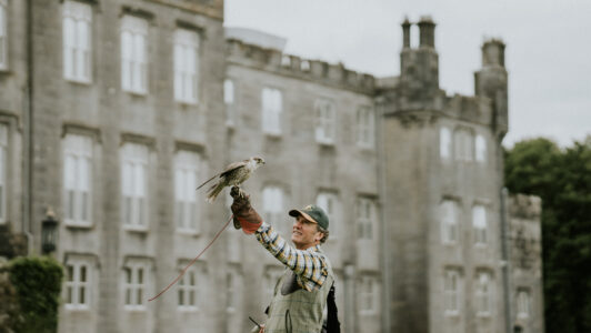 Falconry & Hawk Walksin Ireland | Falconry School at Dromoland