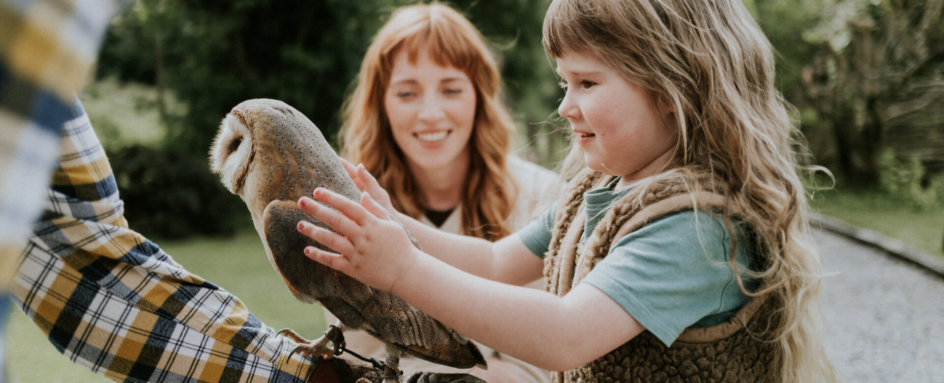 Falconry & Hawk Walksin Ireland | Falconry School at Dromoland
